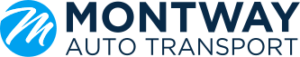 Can You Ship A Car By Train? Amtrak Auto Train Cost 2026