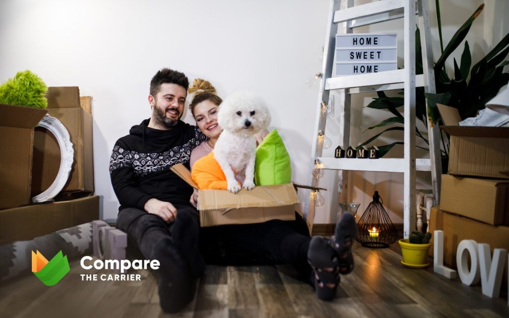 Moving With Pets In 2024: Tips For A Stress-Free Relocation